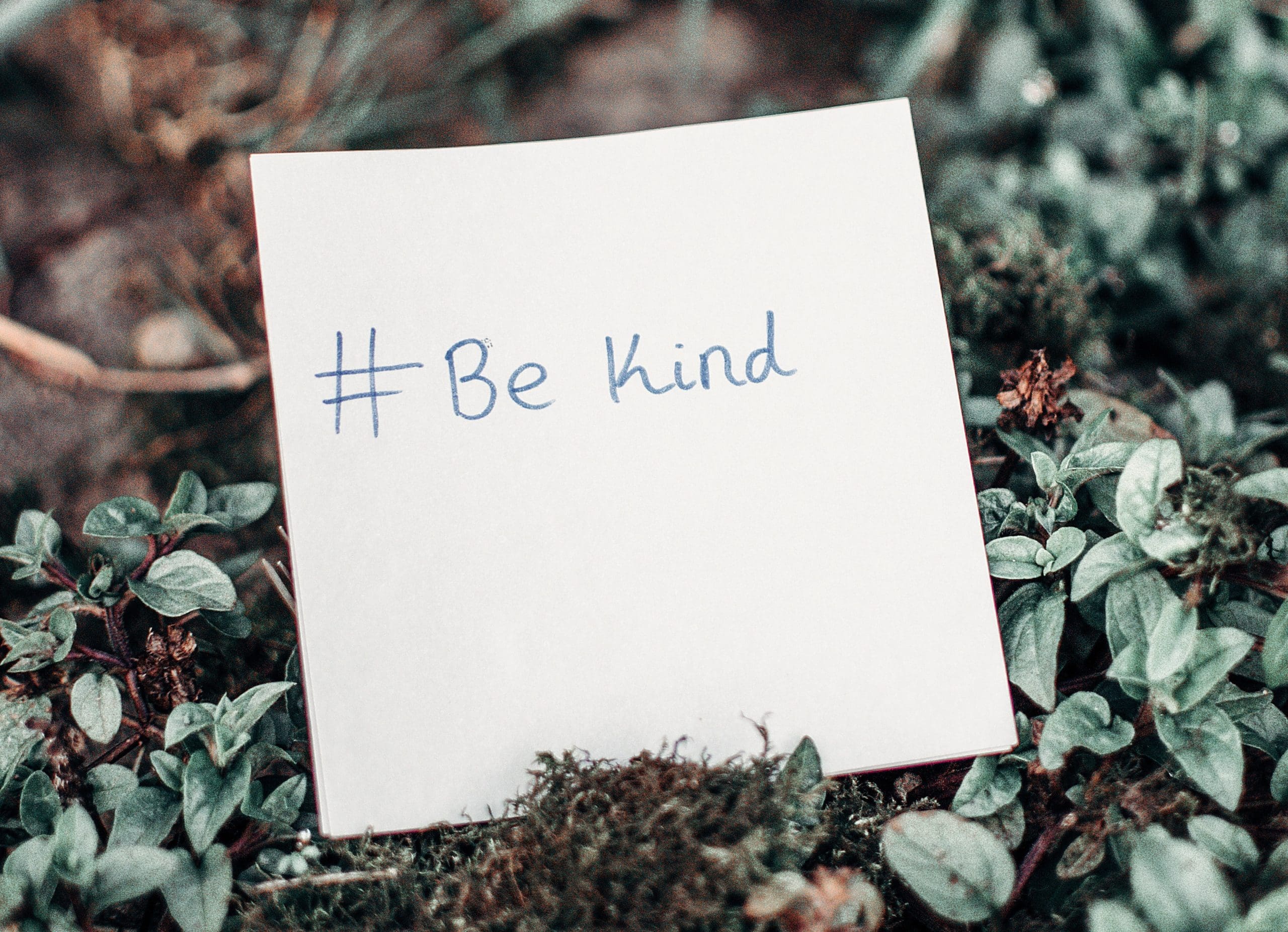 A Kindness Movement … and Why Now is the Perfect Time to Tap into It ...